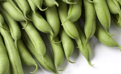 BEAN RUNNER BEAN SHINY FARDENLOSA SOUTH PACIFIC SEEDS VEGETABLE SEEDS ...