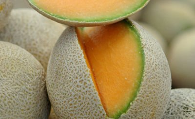 MELON HONEWDEW ROCKMELON SOUTH PACIFIC SEEDS VEGETABLE SEEDS NEW ...