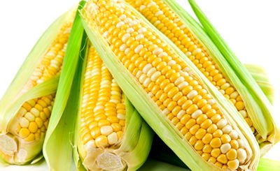BI-COLOUR SWEET CORN SWEETCORN SOUTH PACIFIC SEEDS VEGETABLE SEEDS NEW ...