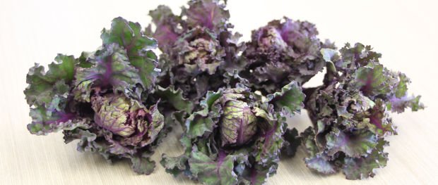 Kalettes - SPSNZ
